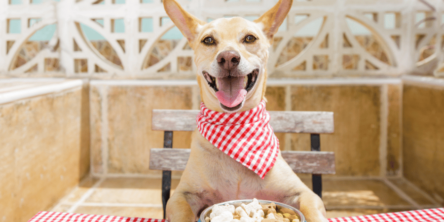 Dog Treats Made with Baby Food