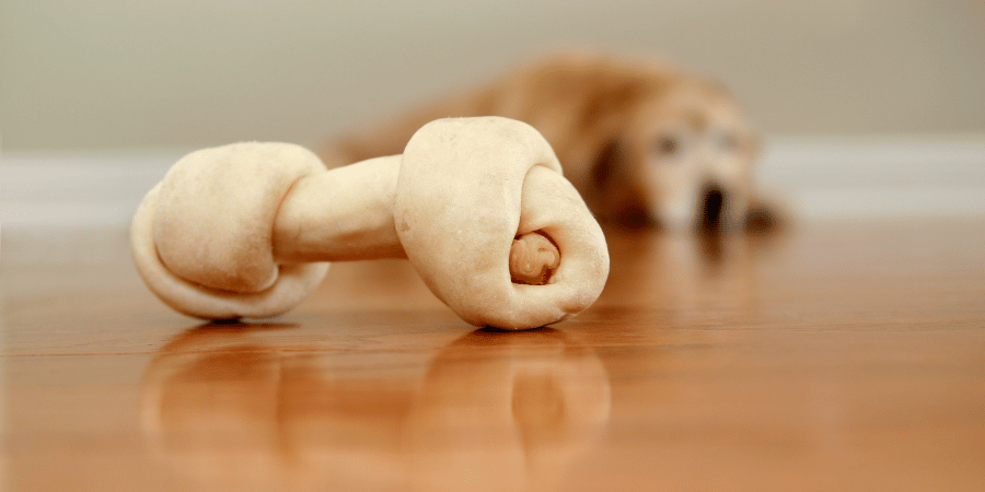 Doggie Bone