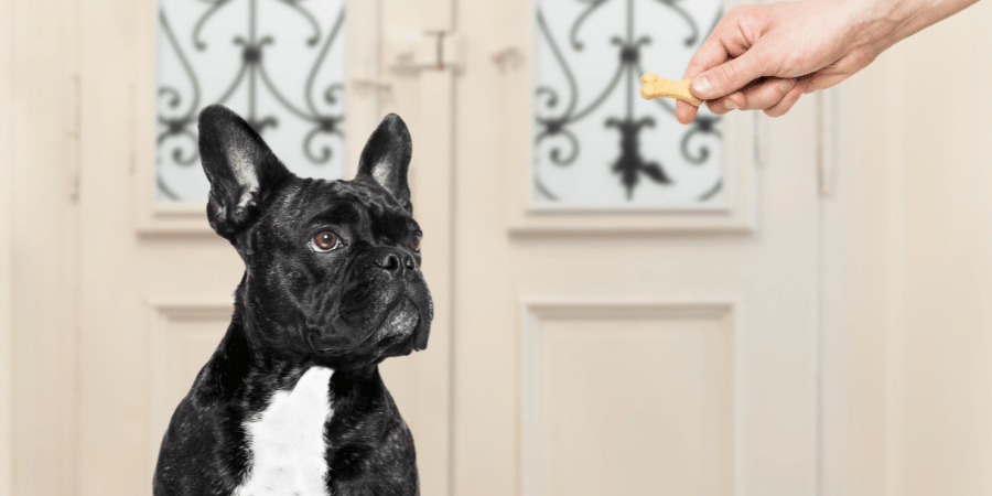 Lean Treats For Dogs