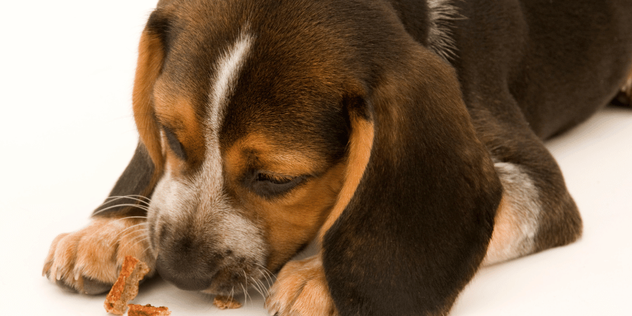 Recipe Liver And Tapioca Flour Treats For Dogs