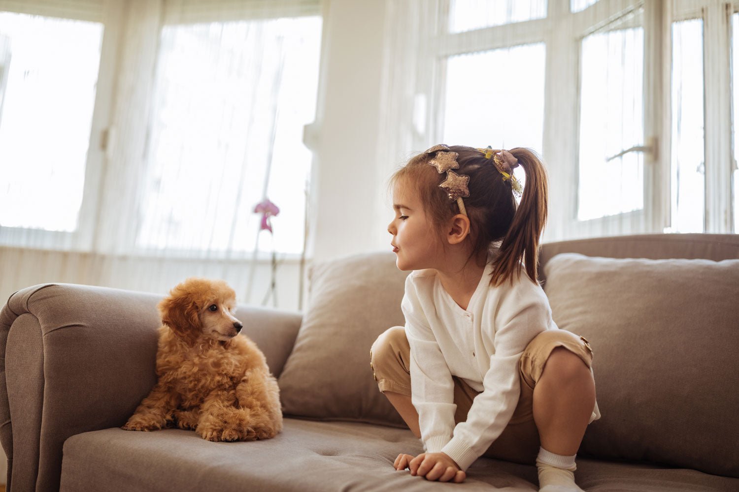 Strategies for Introducing Your Child to their First Pet