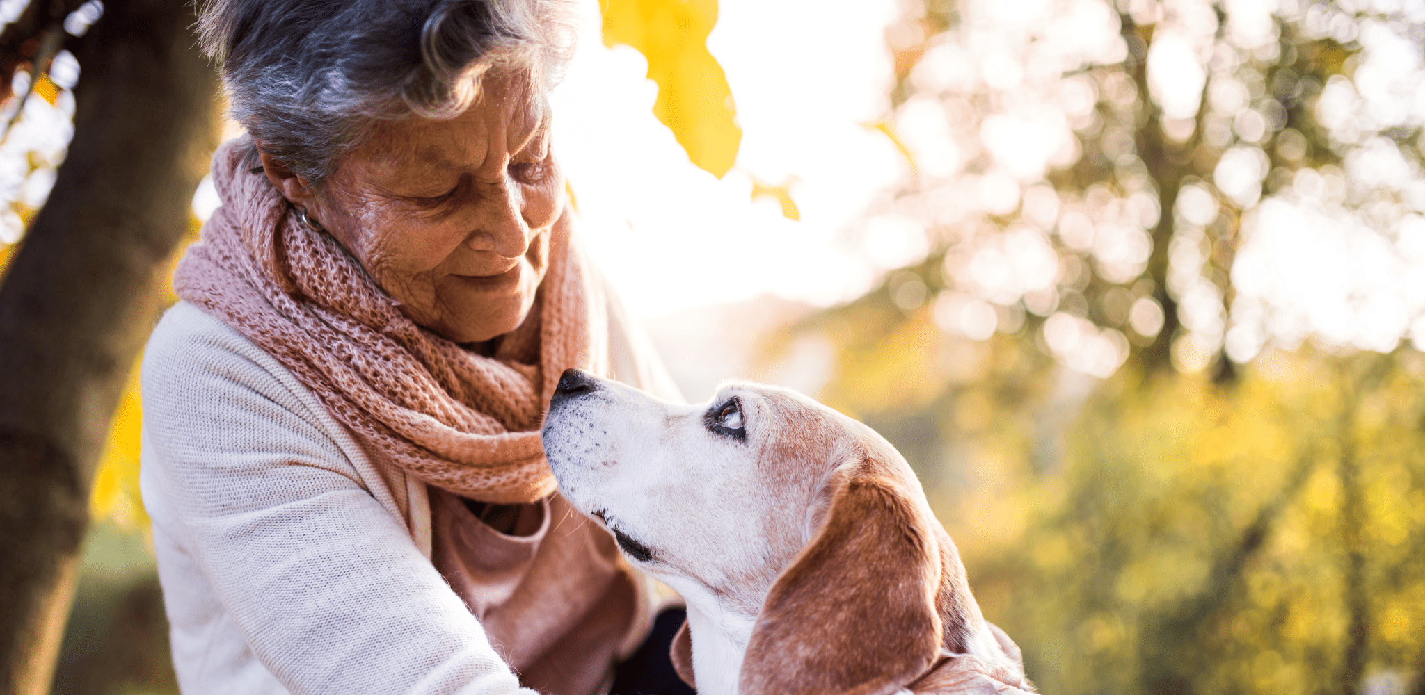 The Ultimate Guide to Dog Treats: From Traditional Bones to Cow Ears w