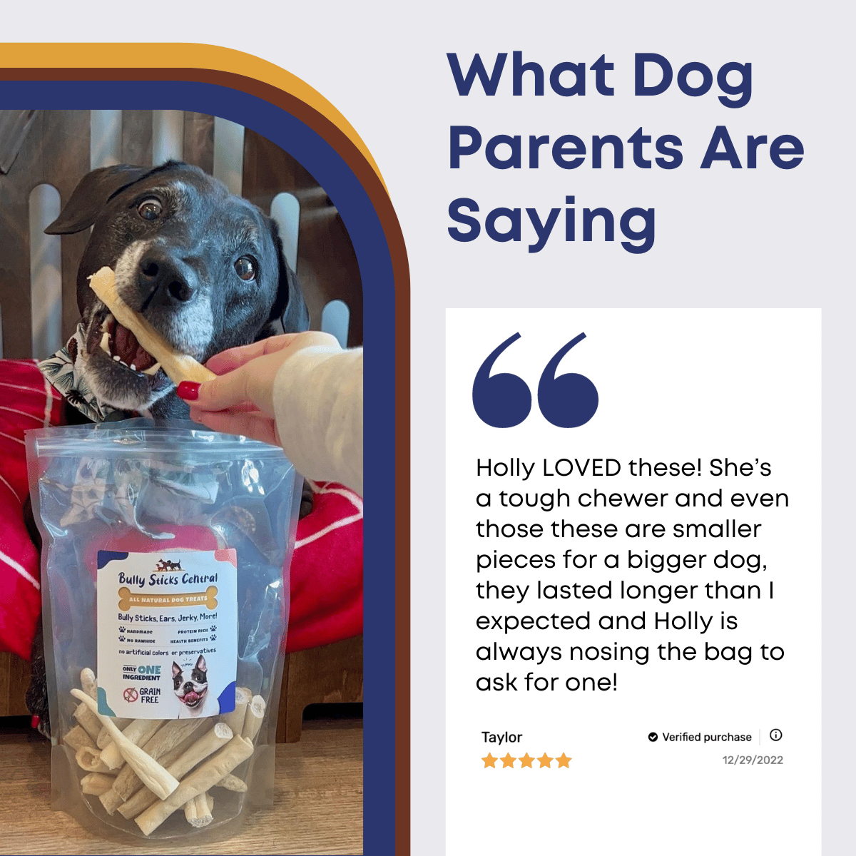 4 Inch Cow Tails for Dogs - All-Natural Dog Chews for Chewers