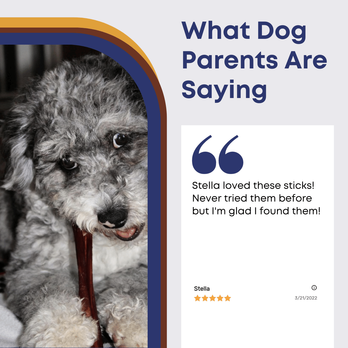 6" Beef Bladder Sticks - 12 Units - All-Natural Dog Chews for Digestive ...