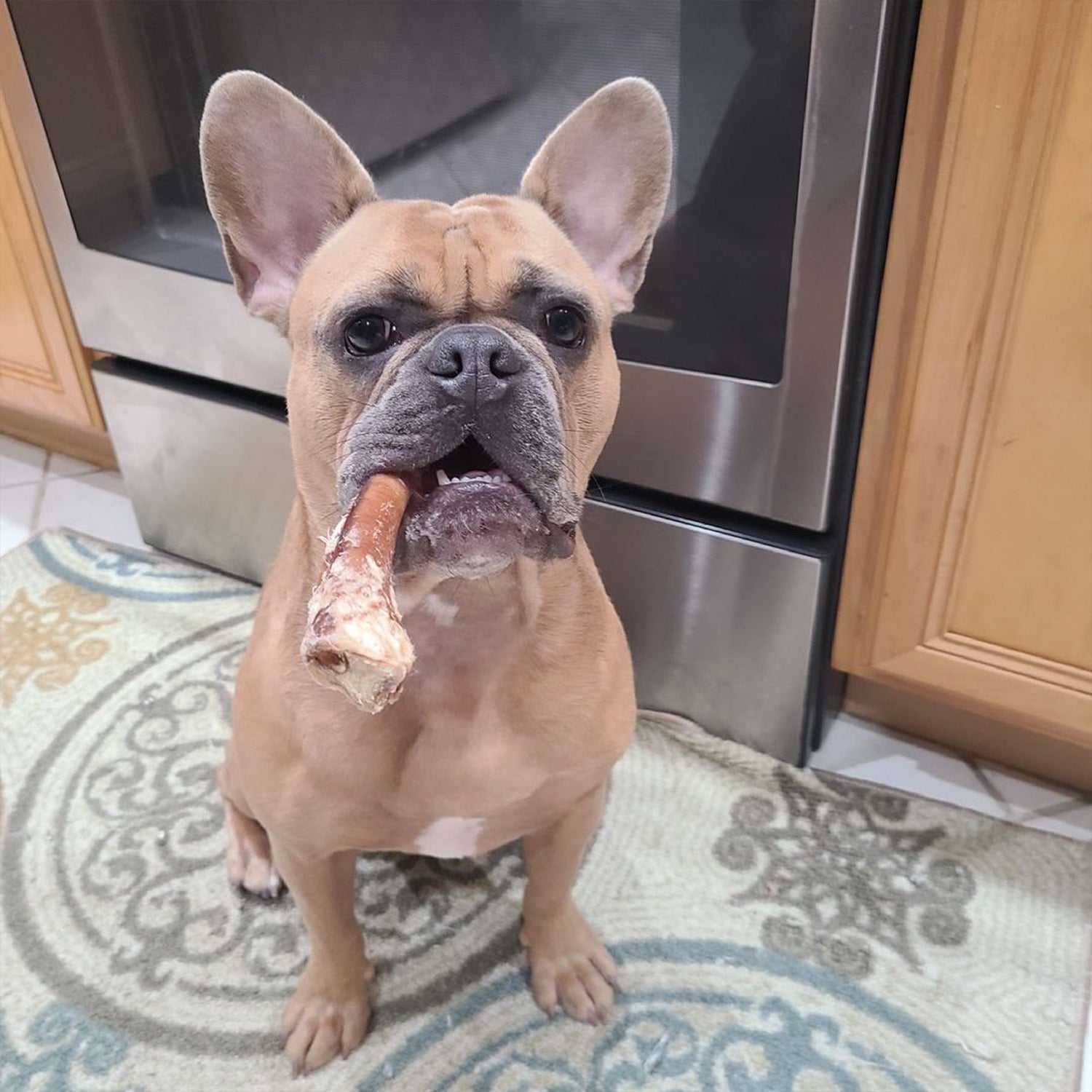 6 Inch Jumbo Bully Stick - All-Natural Dog Chew for Dental Health