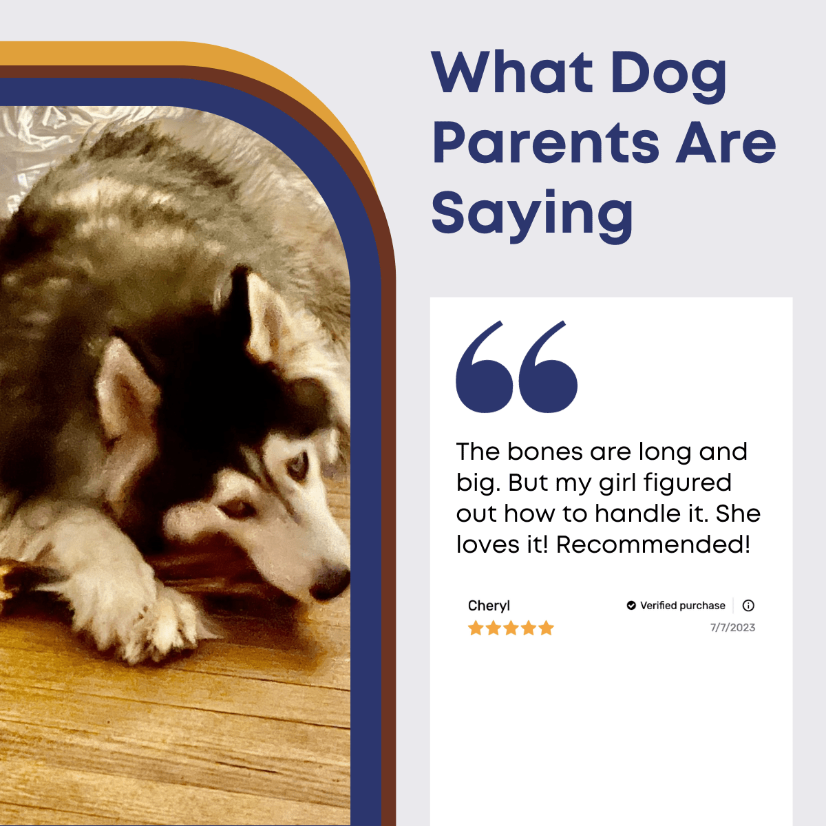 Beef Shin Dog Bones - Long-Lasting and Healthy Dog Bone