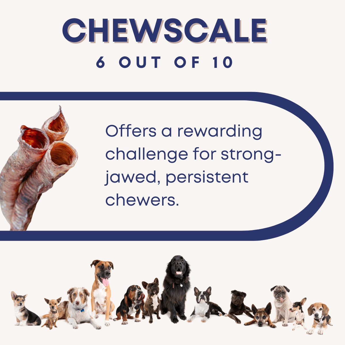 Beef Trachea Tubes - High-Protein and All-Natural Dog Chew