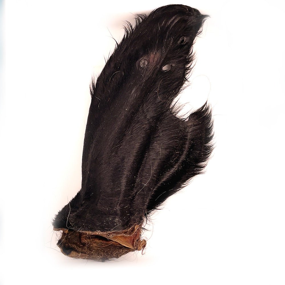 Cow Ears with Fur - Natural Beef Ears with Hair